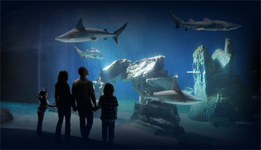 Acquario di Genova - Genova